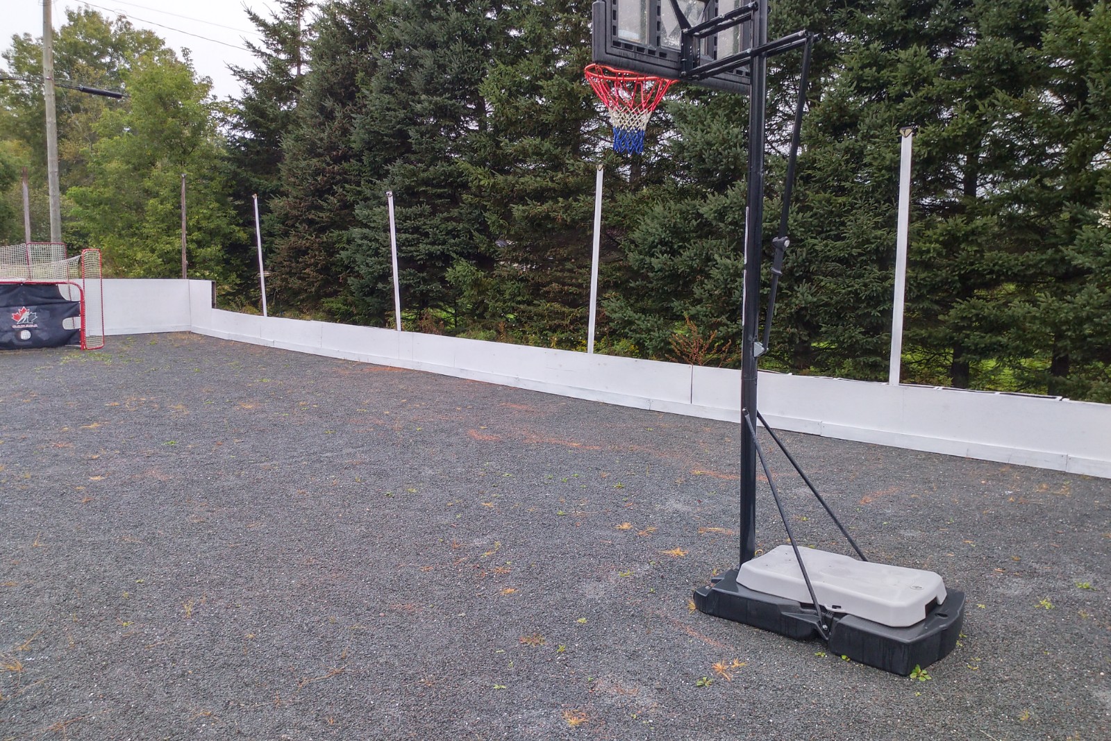 Check Out Our Finalist: Wilson Arena – The Next Stride