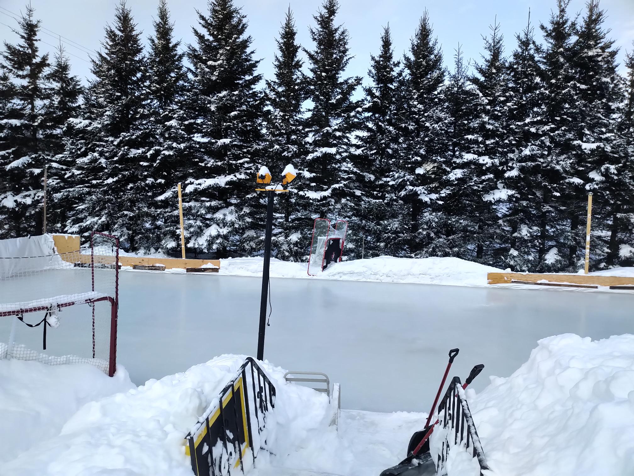 Check Out Our Finalist: Wilson Arena – The Next Stride