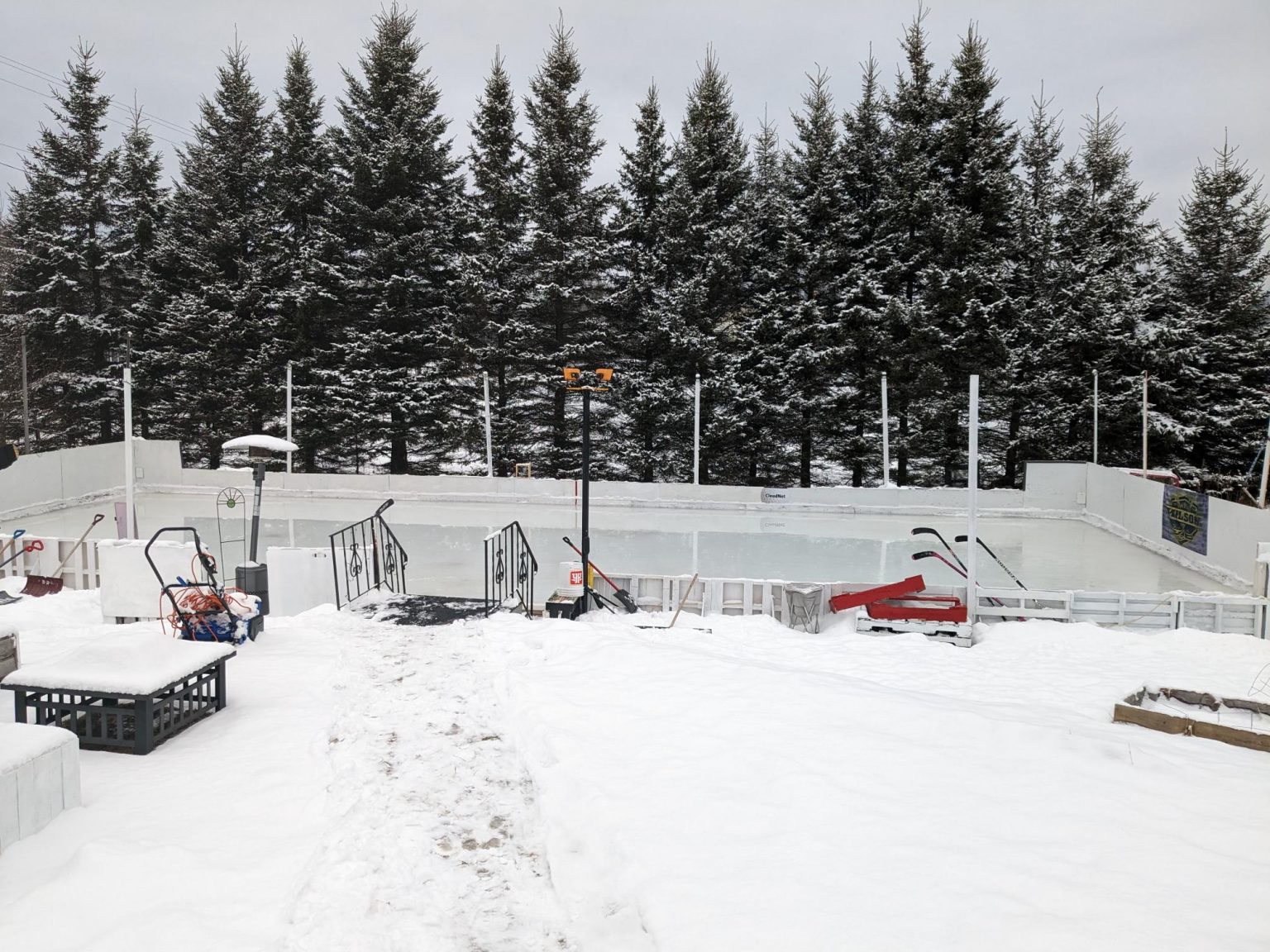 Wilson Arena – The Next Stride