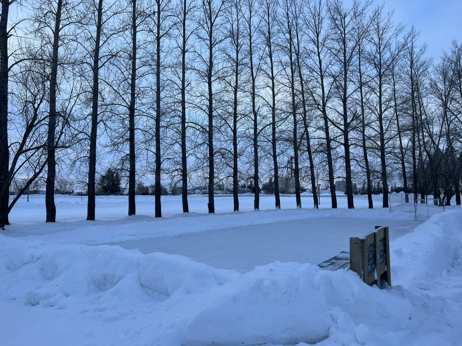 Balcarres Outdoor Rink – The Next Stride